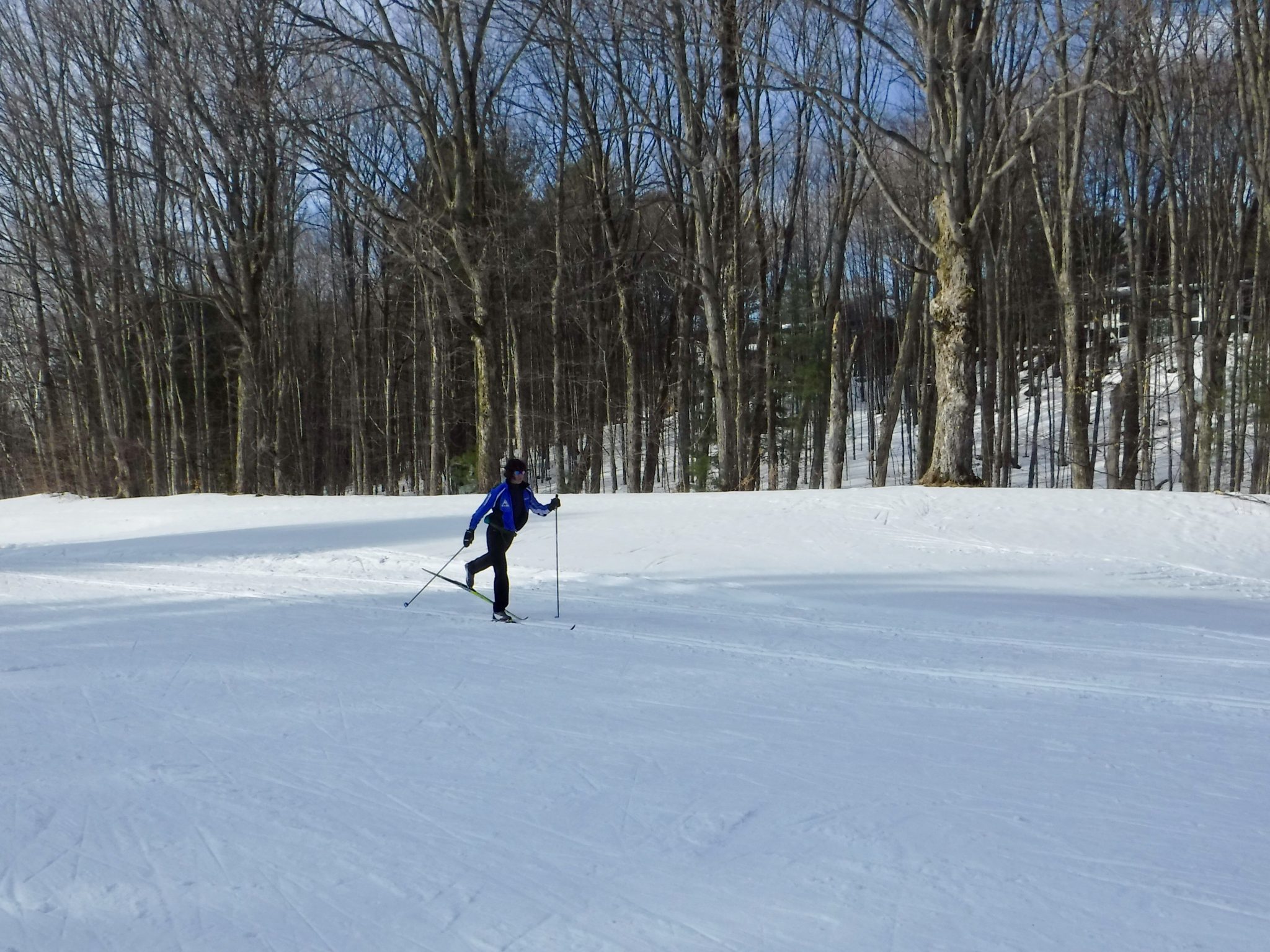 Classic vs. Skate: What’s the difference and what do I choose? – High ...